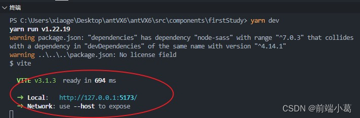 vite运行只能访问localhost解决办法(Network: use --host to expose)_vite运行项目只有一个地址-CSDN博客