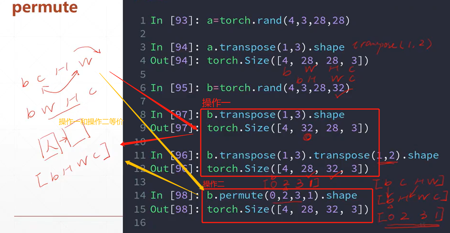 torch学习笔记之——tensor维度变换_torch 交换维度-CSDN博客