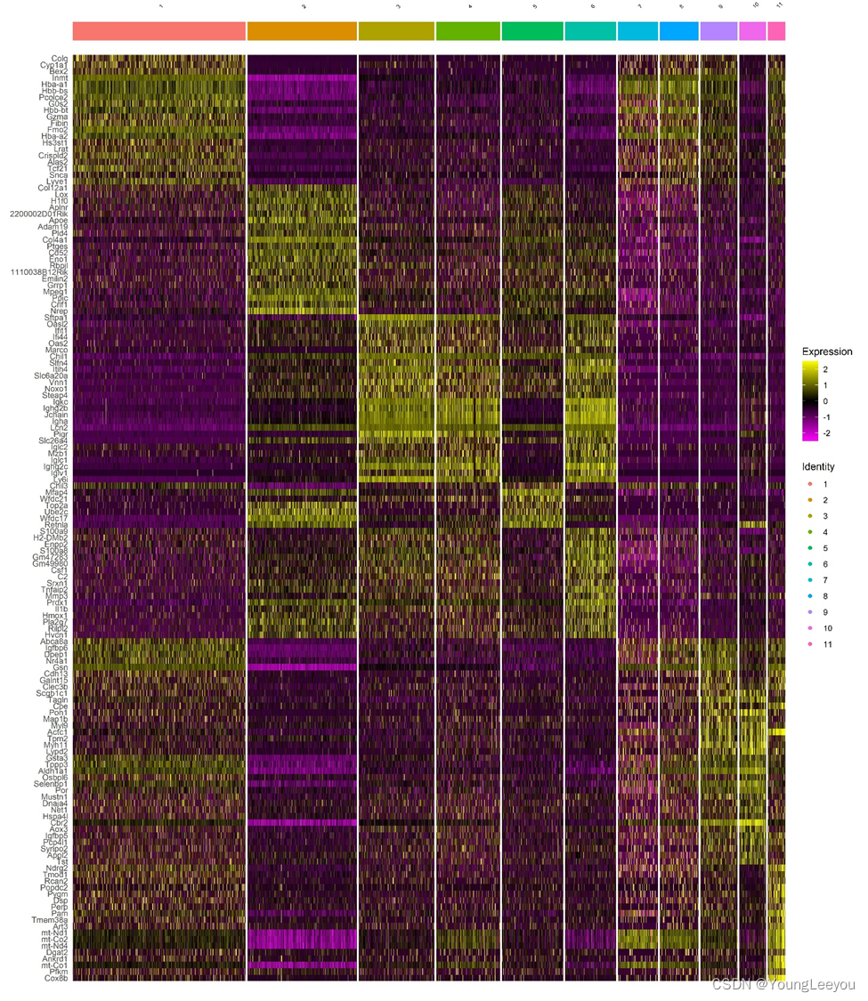 空间转录组从loupe软件自动聚类之后，分为11个群，使用seurat中的doheatmap函数画出top20基因表达热图 此处使用标准流程来 ...