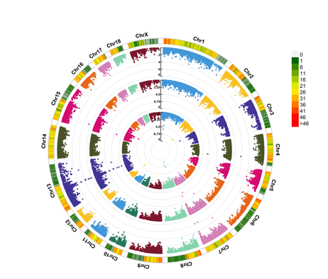 CMplot与曼哈顿图-CSDN博客