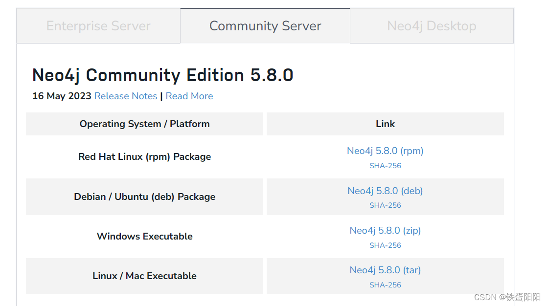 Neo4j 5.80社区版的安装教程_neo4j社区版-CSDN博客
