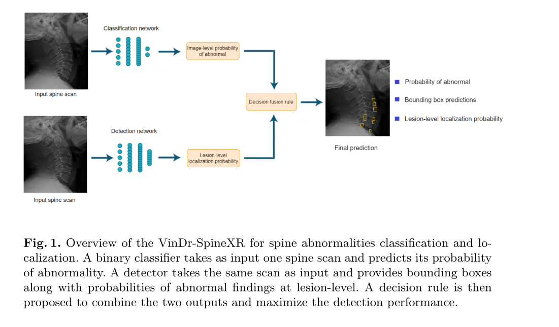 论文阅读：VinDr-SpineXR: A deep learning framework for spinal lesions detection and classification ...