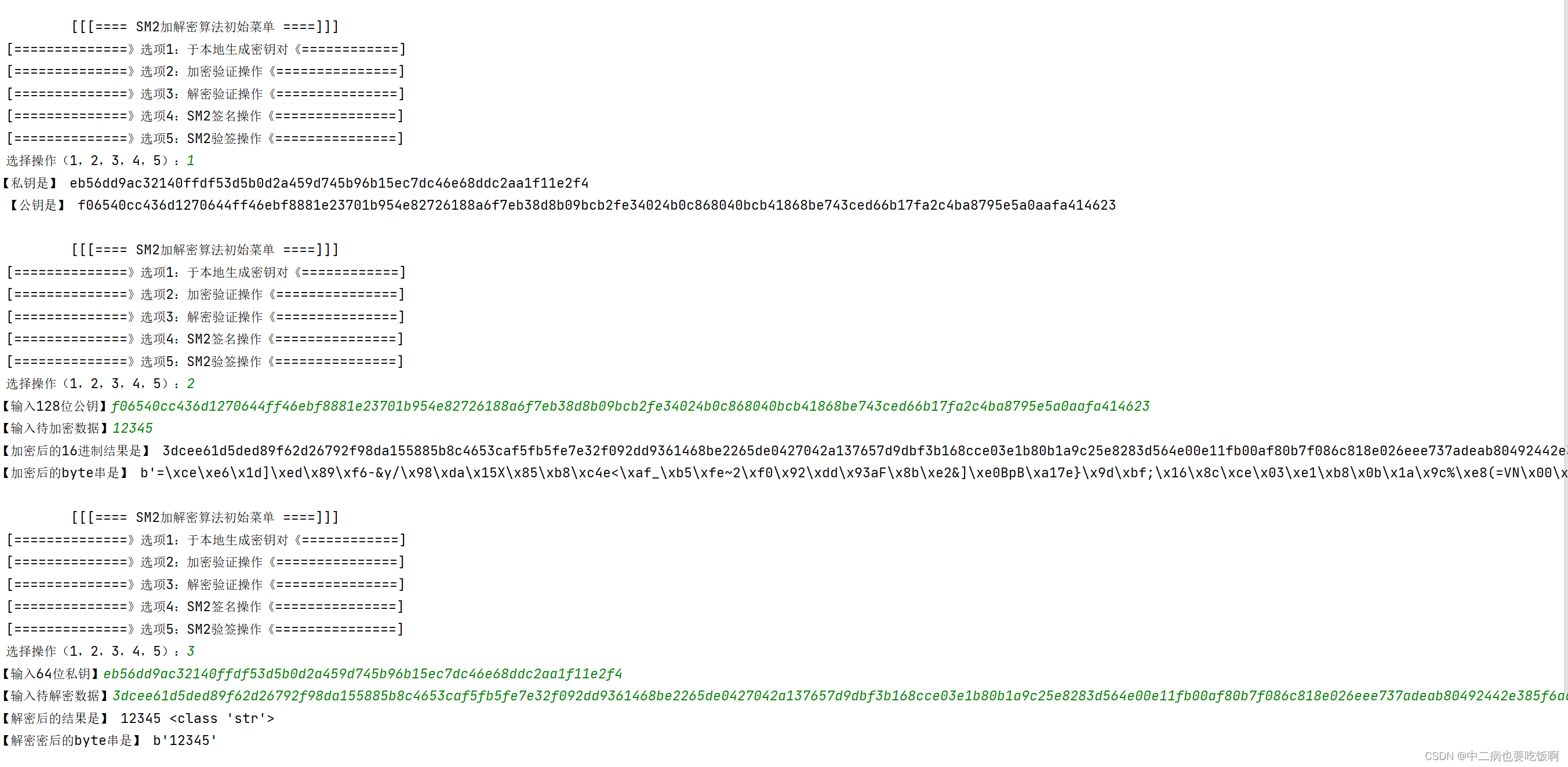 python GMSSL包实现SM2加解密算法、签名验签算法及带ID签名、验签【含资源！见页首】_python gmssl 加签-CSDN博客