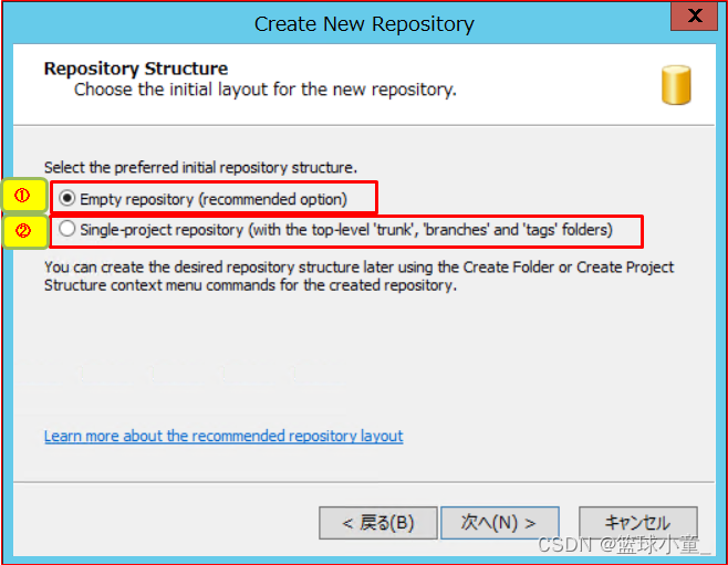 使用VisualSVN Server搭建SVN服务器以及管理权限-CSDN博客