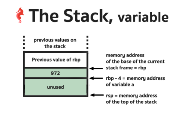 从虚拟内存的角度理解一段汇编_push rbp-CSDN博客