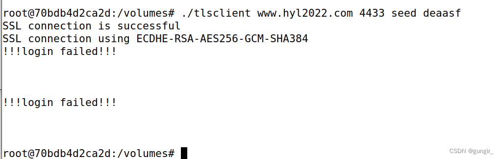 seedlab:Virtual Private Network Lab-CSDN博客