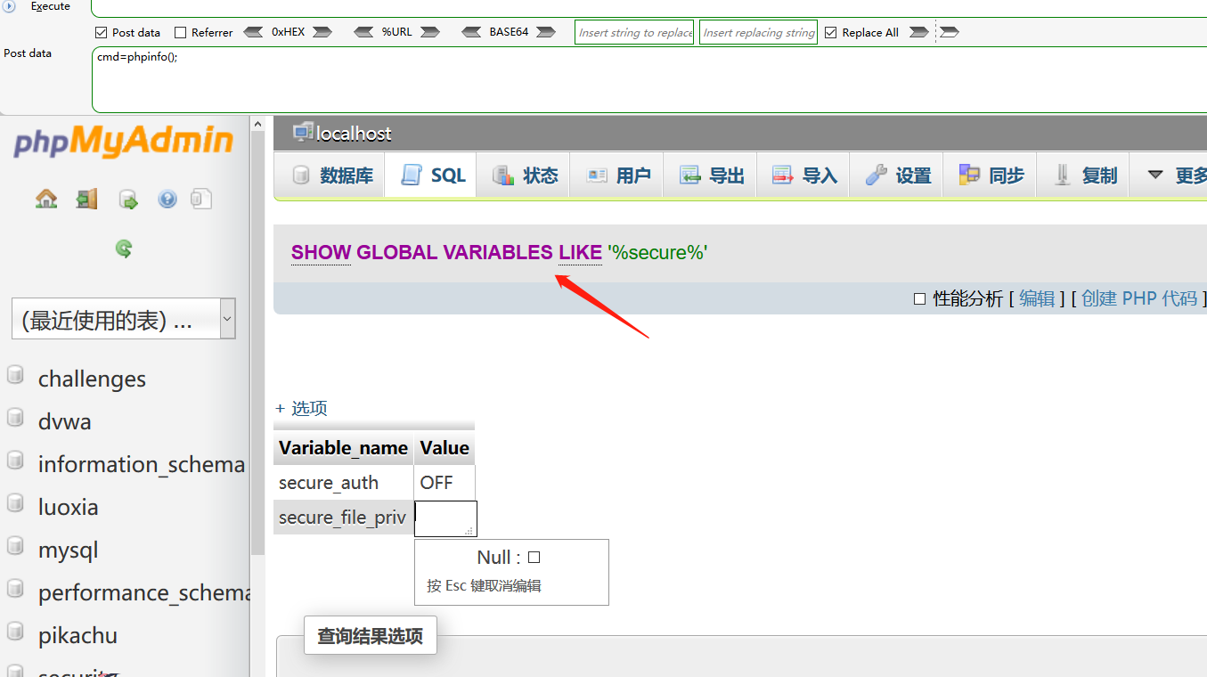 利用phpmyadmin日志写入一句话木马_登录到phpmyadmin怎么写马-CSDN博客