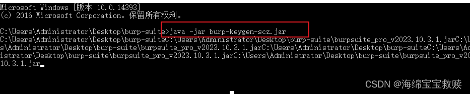 Burp Suite详细安装步骤_burp key-CSDN博客