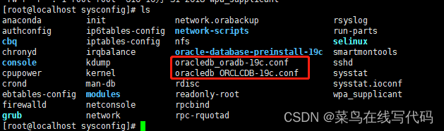 Linux中Oracle 19C安装教程_oracle19c安装步骤详细linux-CSDN博客