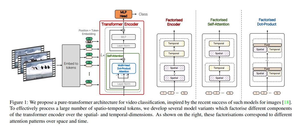 [Video Transformer] ViViT: A Video Vision Transformer-CSDN博客