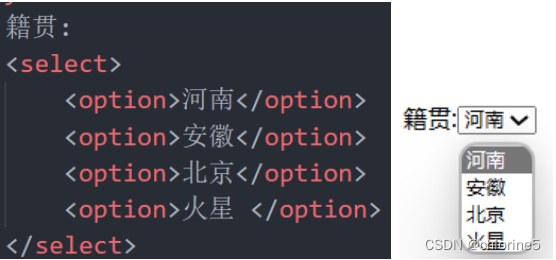 HTML常用标签及其用法(超详细整理)【下】_html跨列标签-CSDN博客