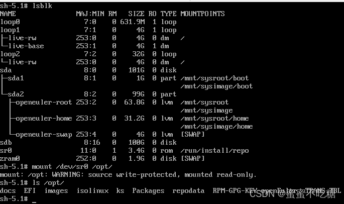 openEuler22.03解决/boot目录破损无法启动问题-CSDN博客