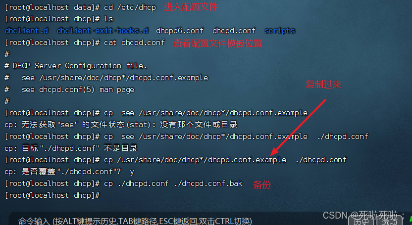 Linux网络配置和DHCP_iface bond0 inet dhcp-CSDN博客