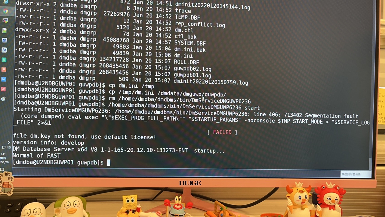 达梦数据库启动报错segmentation Fault （core Dumped） Eval Exec “ ” Exec Prog Full Path ”” “ Startup Params