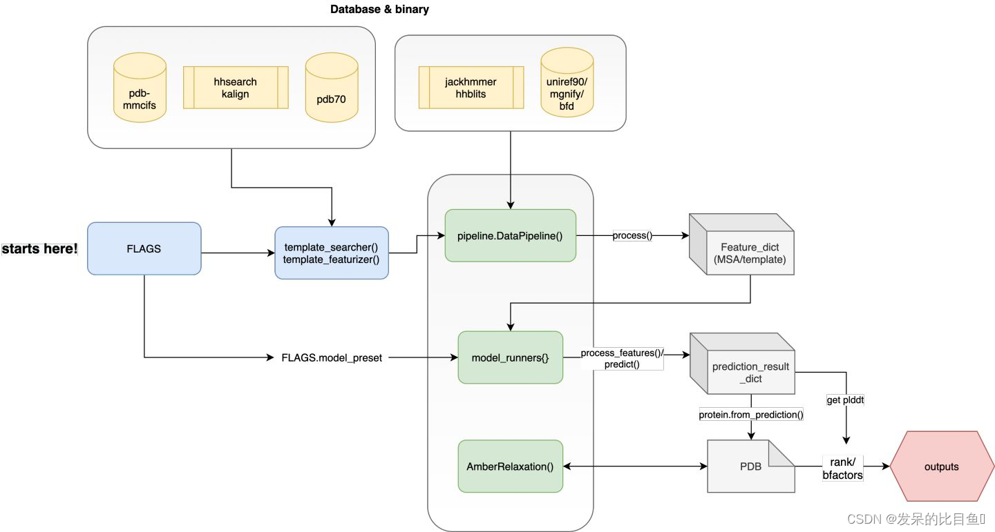 Alphafold2源代码导读_alphaflod2 msa-CSDN博客
