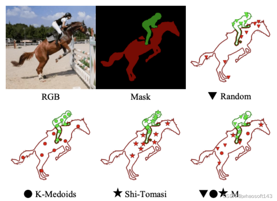 sampt_sam-pt csdn-CSDN博客