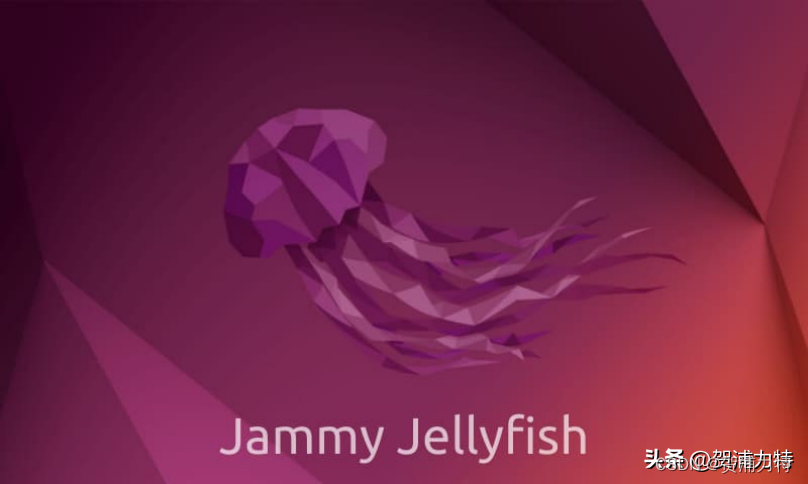 Ubuntu全部版本吉祥物欣赏_小狮子是ubuntu哪个版本-CSDN博客