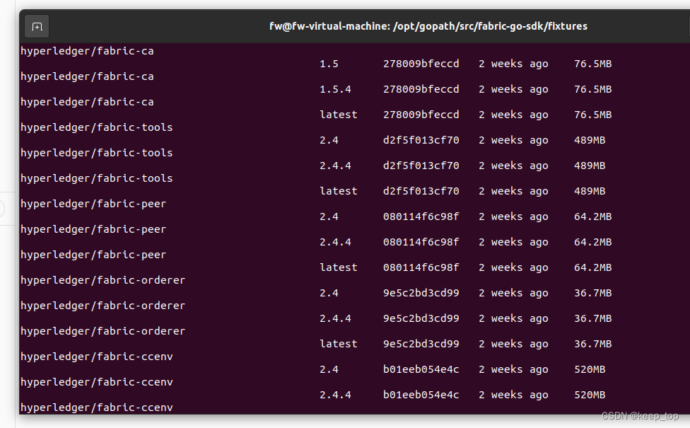 fabric-go-sdk配置/etc/hosts文件映射问题和在虚拟机跑通fabric-go-sdk例子_fabric2.0 fabric-sample 虚拟机 go sdk demo-CSDN博客