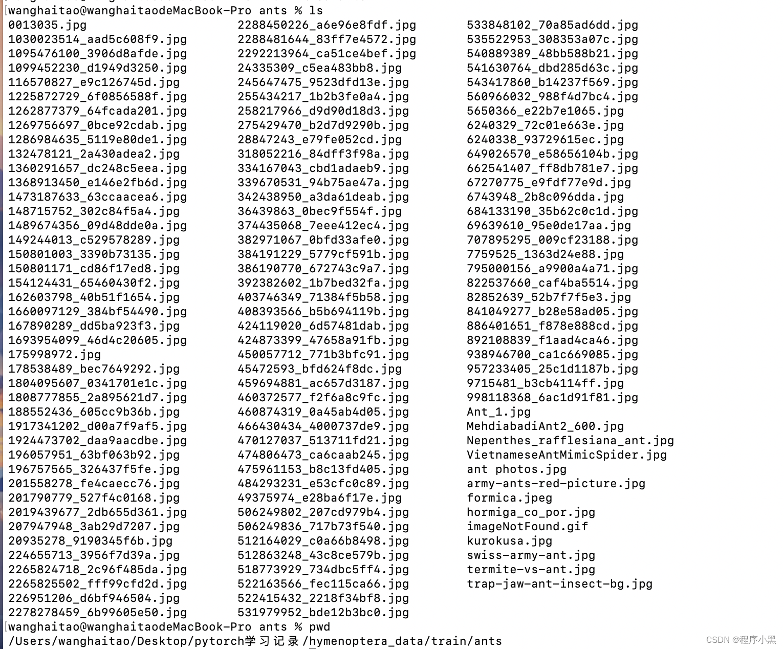 使用pytorch中的dataset数据集类antss数据集 Csdn博客 4490