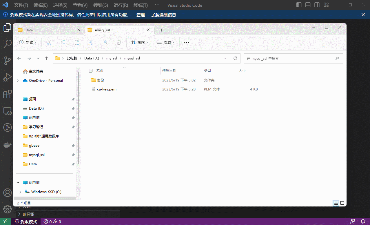 Could not read private key from ./ca-key.pem-CSDN博客