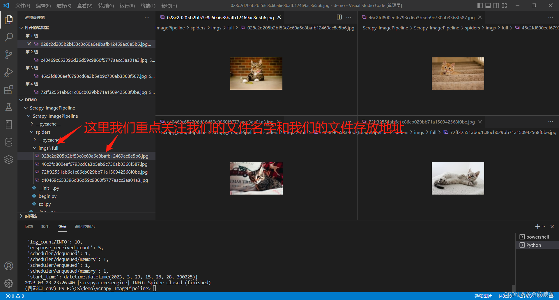 Scrapy_使用_自定义ImagePipeline，自定义图片名_使用scrapy imagespipeline不会创建文件-CSDN博客