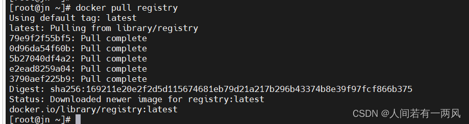 Docker：搭建本地私有仓库 Docker Daemon Json 配置私有仓库 Csdn博客