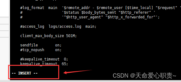 Xshell的使用；用Xshell修改服务器 Nginx配置文件-超详细（以修改上传文件大小上限为例）_使用xshell更改nginx ...