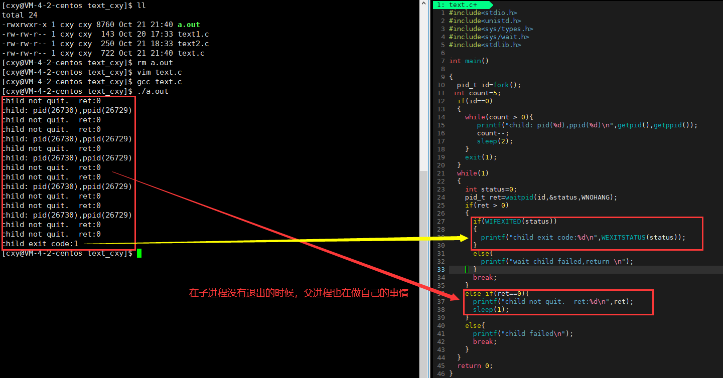 【Linux入门】：进程控制_linux unistd.h实现在哪里-CSDN博客