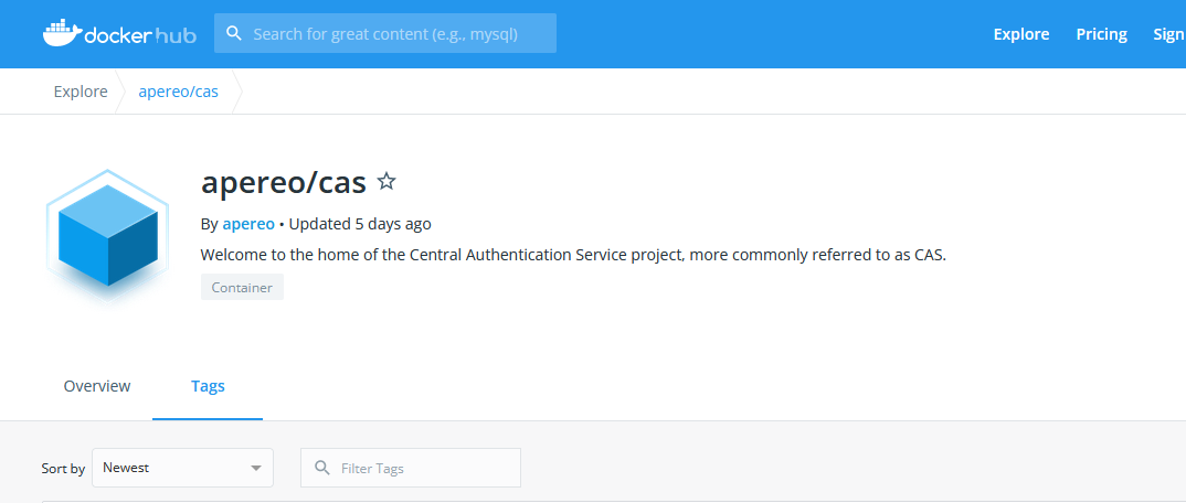 Docker部署CAS单点登录SERVER 6.2.2_用docker 搭建 cas 服务器-CSDN博客