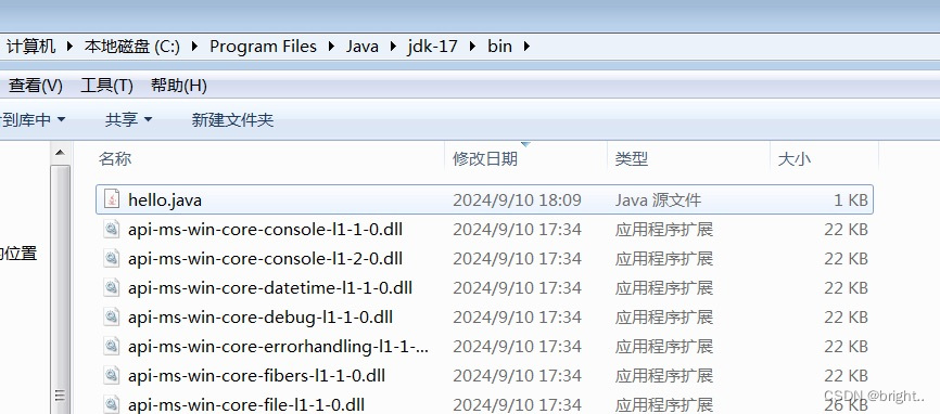 Java17的安装和配置 Java17安装 Csdn博客