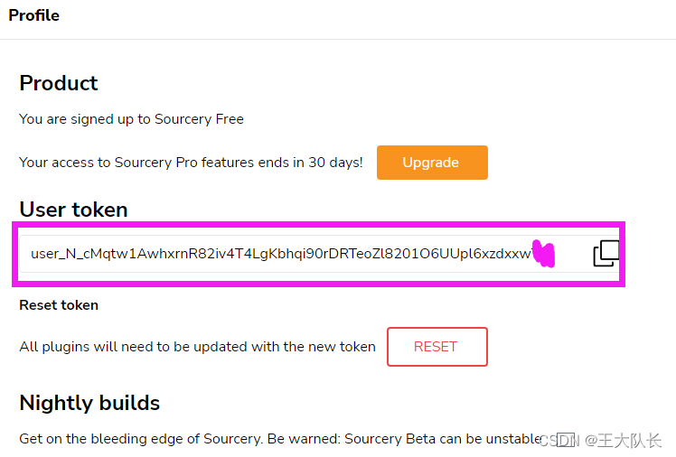 Sourcery插件（自动提升代码质量）-CSDN博客