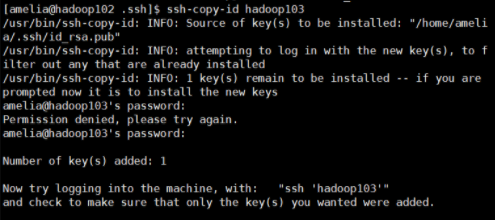 hadoop--ssh免密登录_hadoopssh免密登录-CSDN博客