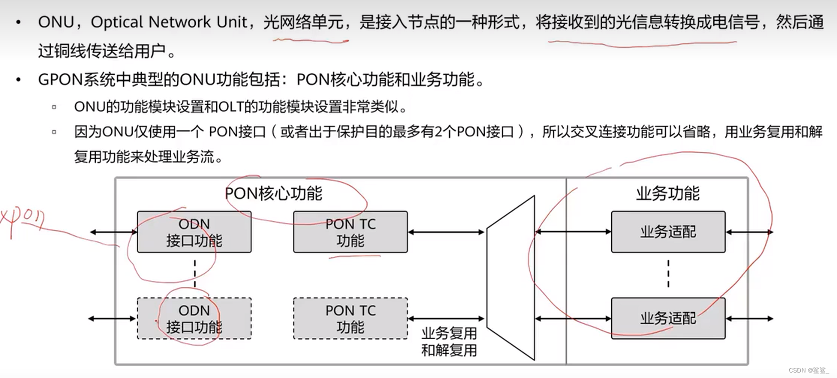 ONU产品学习_onu链路冗余有多少接口-CSDN博客