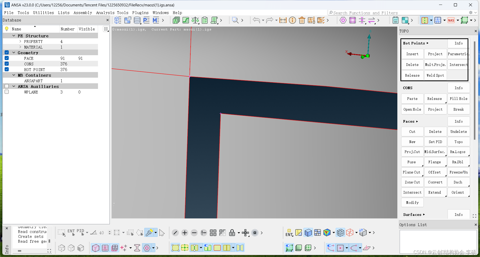 关于ANSA的Topo Hot Points命令模块的理解_ansa指令-CSDN博客