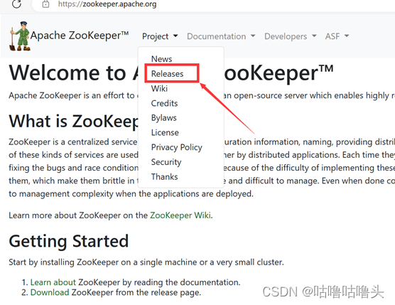 zookeeper下载安装 和 在Ubuntu虚拟机集群搭建-CSDN博客