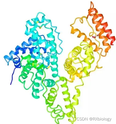 FITC-BSA-Biotin，FITC和生物素标记BSA,Maleimide Activated BSA，马来酰亚胺功能化BSA_马来酰亚胺 ...