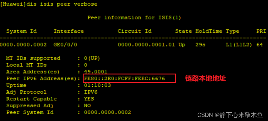 ISIS对IPv6的支持_静下心来敲木鱼的博客-CSDN博客