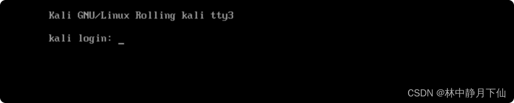 Kali 2020.3安装桌面后，黑屏无图形界面解决办法_kali登陆后只能看见背景-CSDN博客