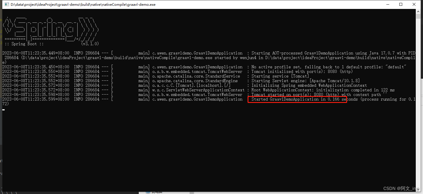 idea使用native-image打包springboot项目-CSDN博客
