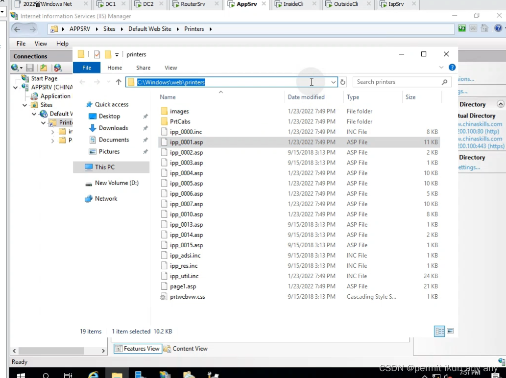 Print（打印机） APPsrv DC1-CSDN博客