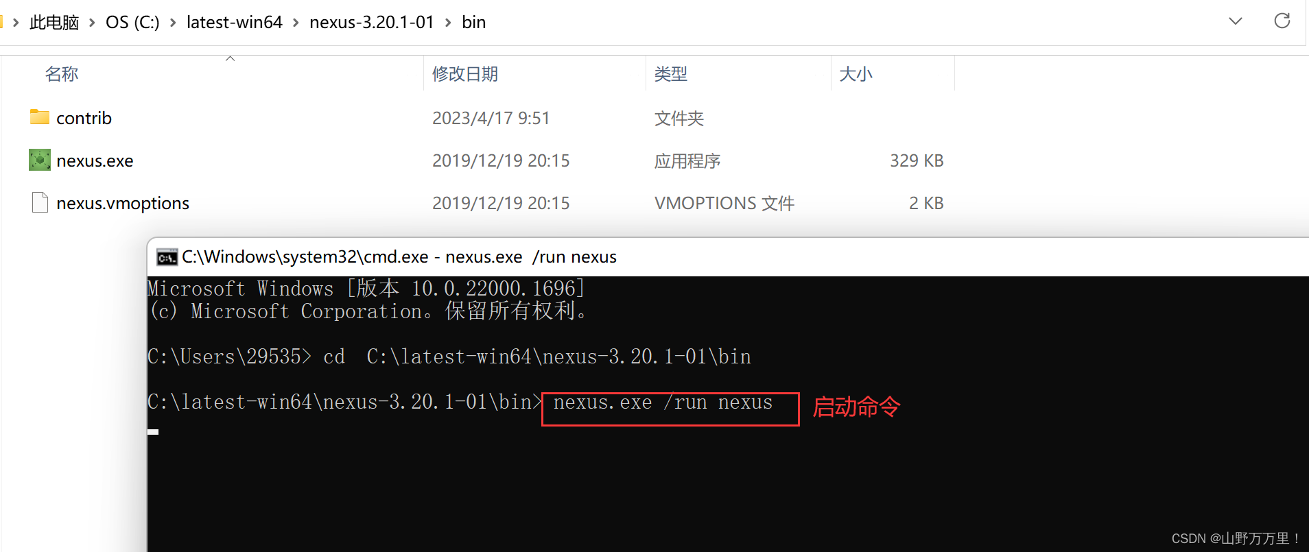 nexus私服的安装和登录_nexus登录-CSDN博客