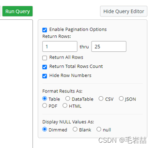 NetSuite SuiteQL Query Tool-CSDN博客