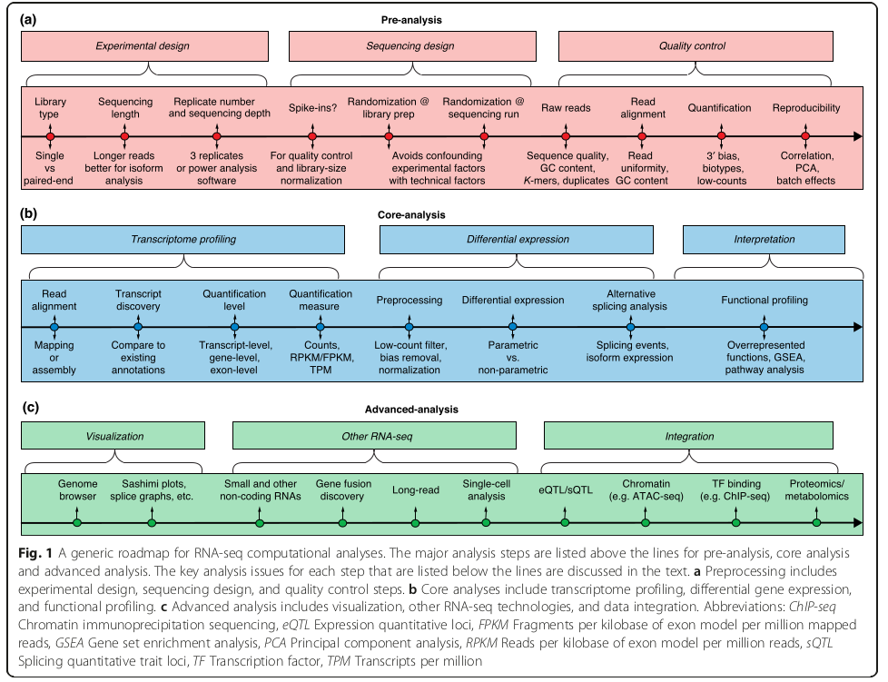 RNA-seq Review：RNA-seq数据分析-CSDN博客
