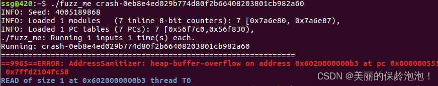 学习libfuzzer使用（一）_libfuzzer下载fuzzing.git和fuzzer-test-suite.git有什么用-CSDN博客
