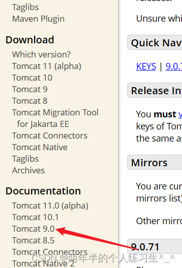 在linux服务器上安装tomcat（保姆教程）_liunx怎么在线安装tomcat9-CSDN博客