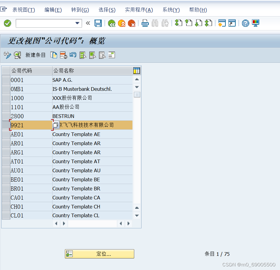 SAP定义公司代码_sap 公司代码-CSDN博客