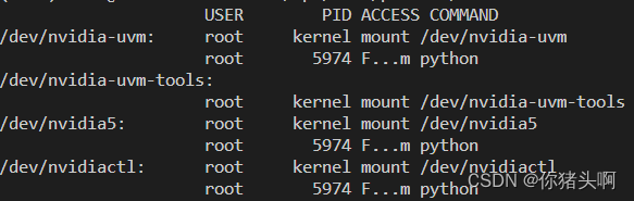【BUG记录】关于linux/pytorch等操作/BUG记录——持续更新-CSDN博客