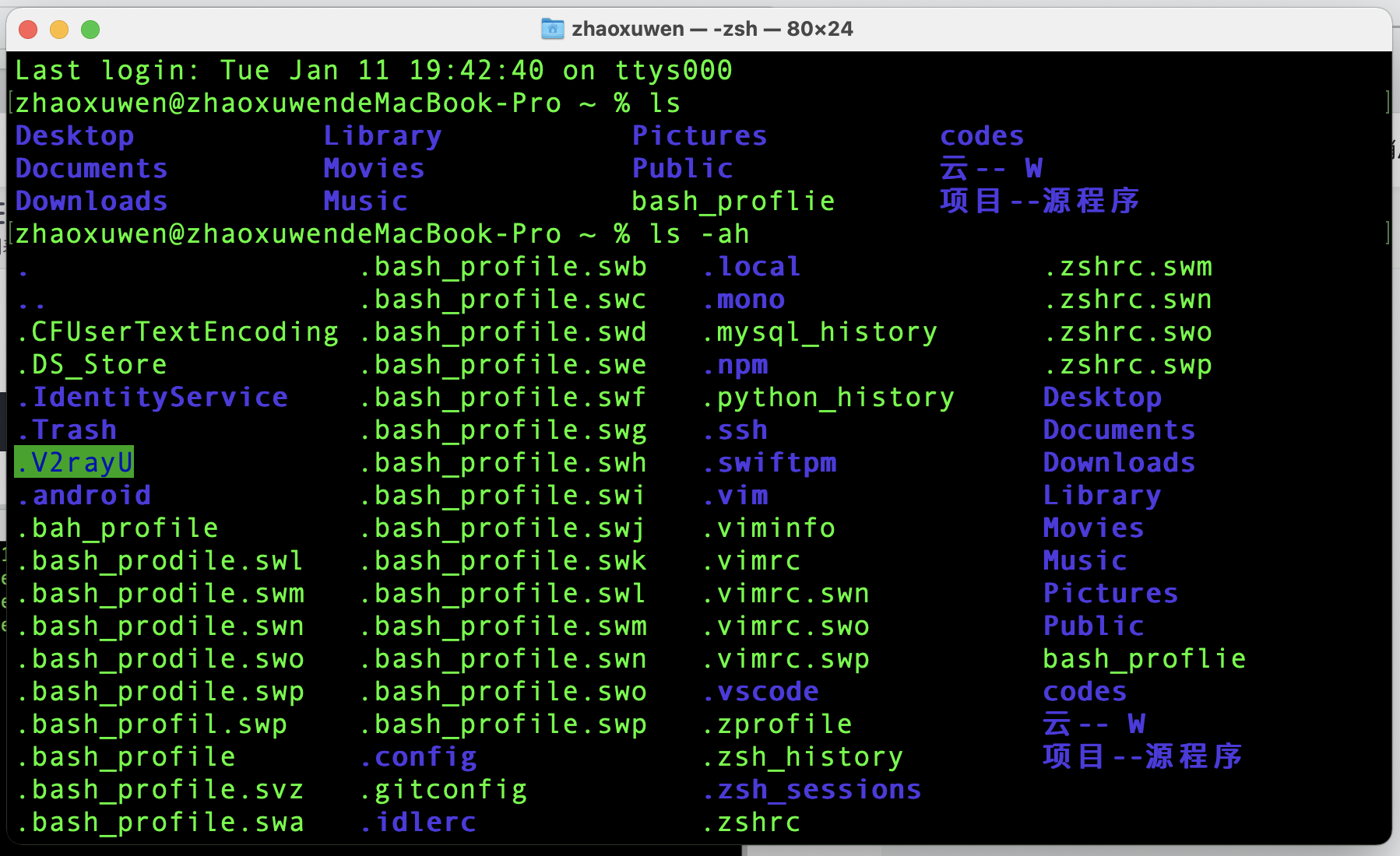 Mac -- zsh-最新全网超详细的个性化终端(Terminal)颜色及vim颜色配置-CSDN博客