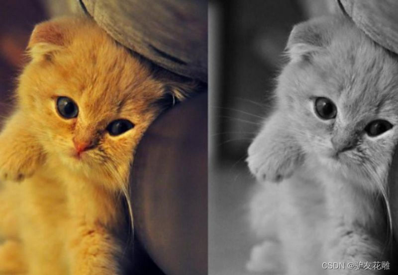 【雕爷学编程】arduino动手做（77） 模拟灰度传感器模块2arduino 灰度传感器 Csdn博客